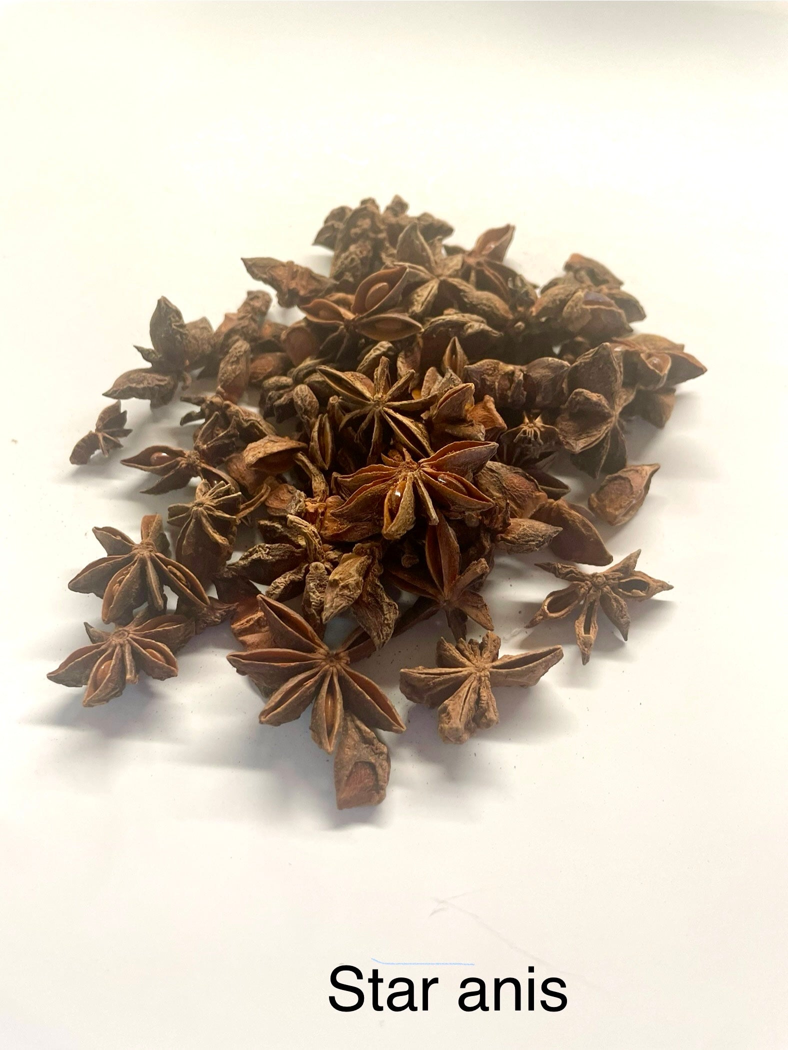 Star Anise – Teas & Tinctures
