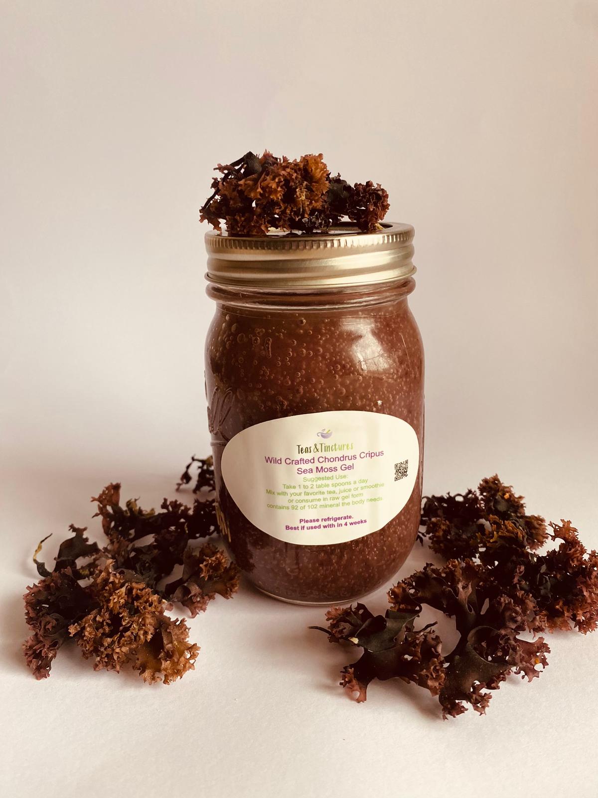 Chondrus Crispus Sea moss /Infused Elderberry – Teas & Tinctures